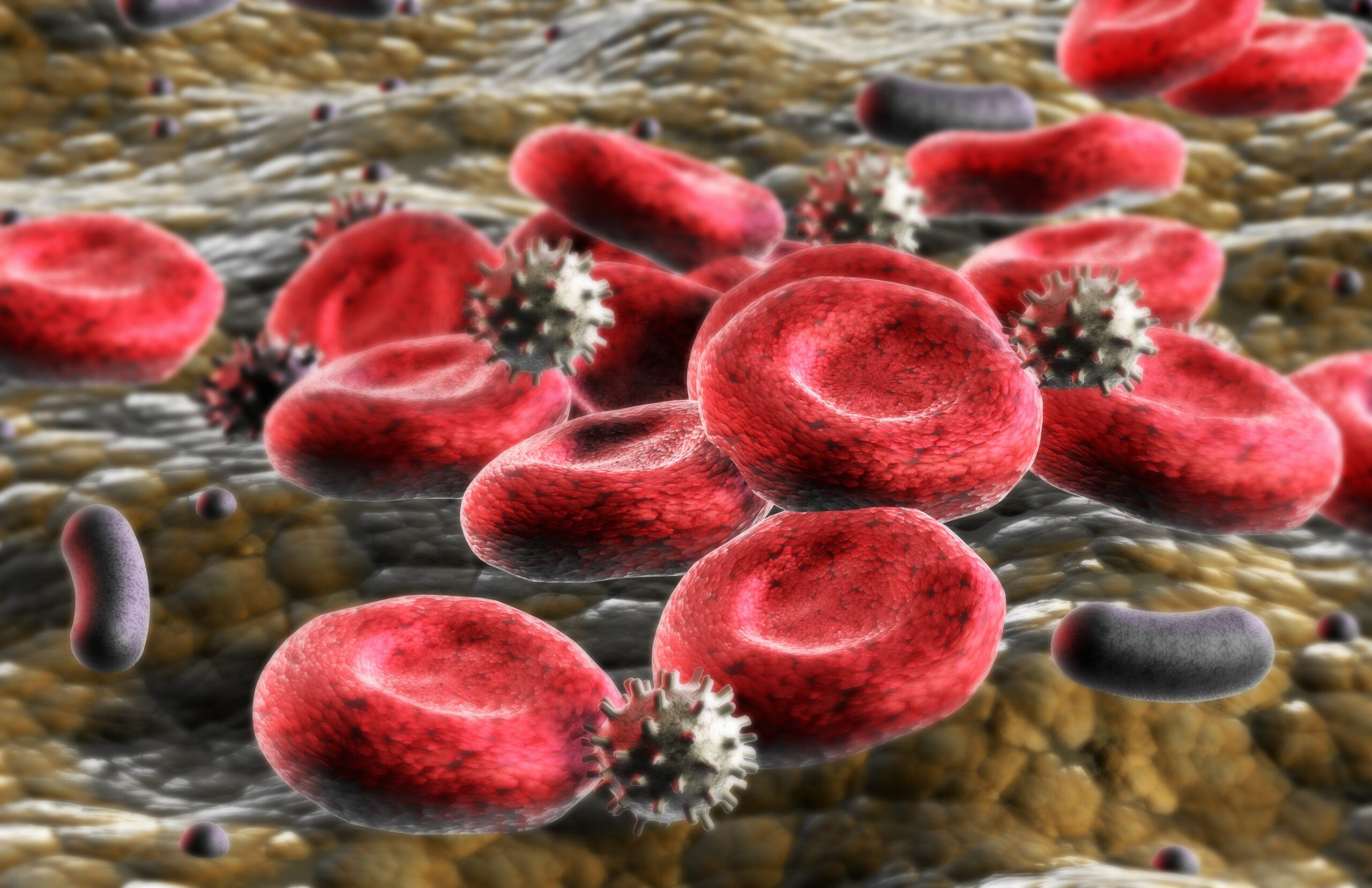 Blood Disorders - Maryland Oncology Hematology